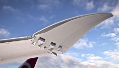 An American Airlines A321 suffered a bird hit