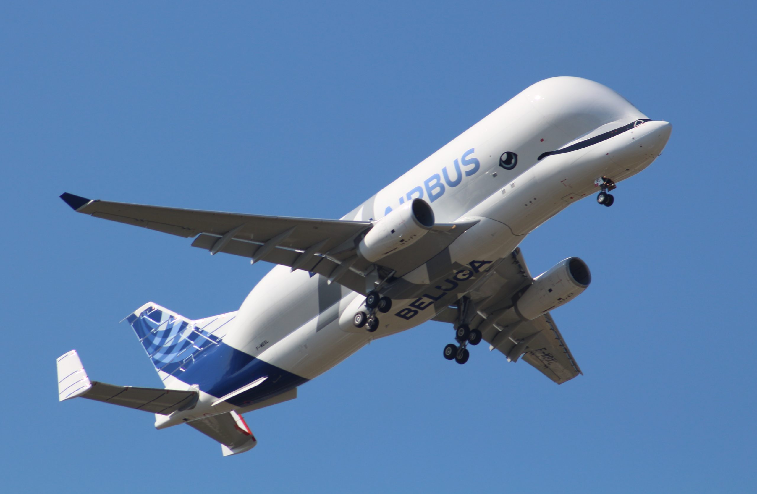Beluga XL Airbus Replaced The Airbus Beluga A Cargo Aircraft Beluga XL Airbus Replaced The Airbus Beluga A Cargo Aircraft