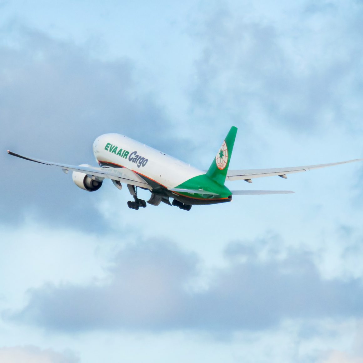 EVA Airways: The evergreen, thriving Taiwanese carrier