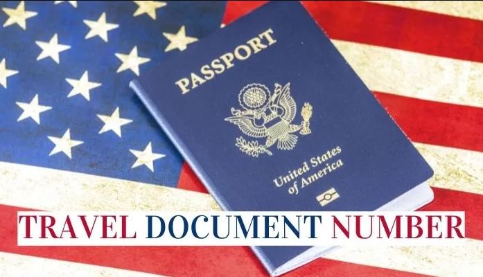 What is the travel document number? All you need to know