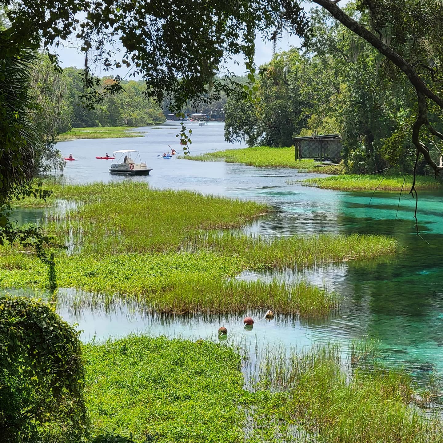10 Things To Do At Rainbow Springs State Park: Florida 4th largest spring