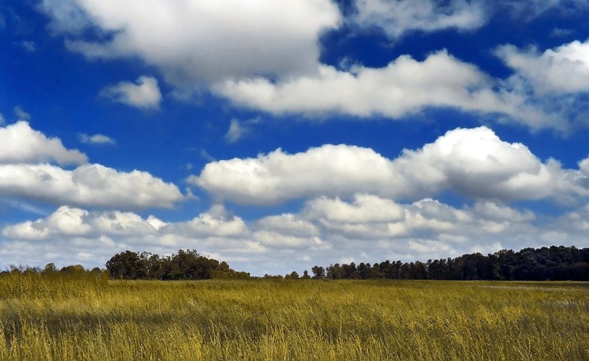 Types of Cloud In Aviation and their characteristics | Aviation News